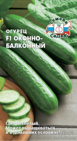 огурец ОКОННО-БАЛКОННЫЙ, Седек