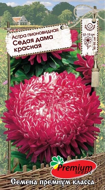 астра СЕДАЯ ДАМА крас. Премиум Сидс