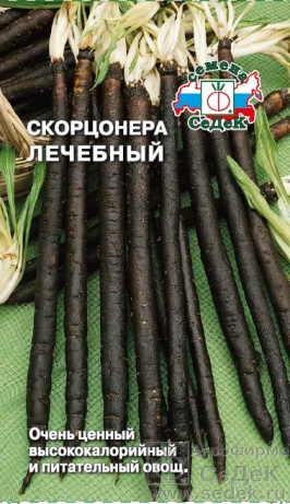скорцонера ЛЕЧЕБНЫЙ ц, Седек