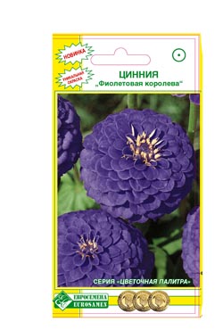 цинния ФИОЛЕТОВАЯ КОРОЛЕВА, Евросемена